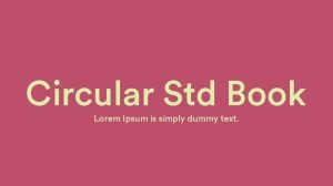 Circular Std Font Free Download