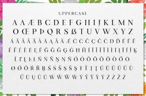 Turkish Font Free Download
