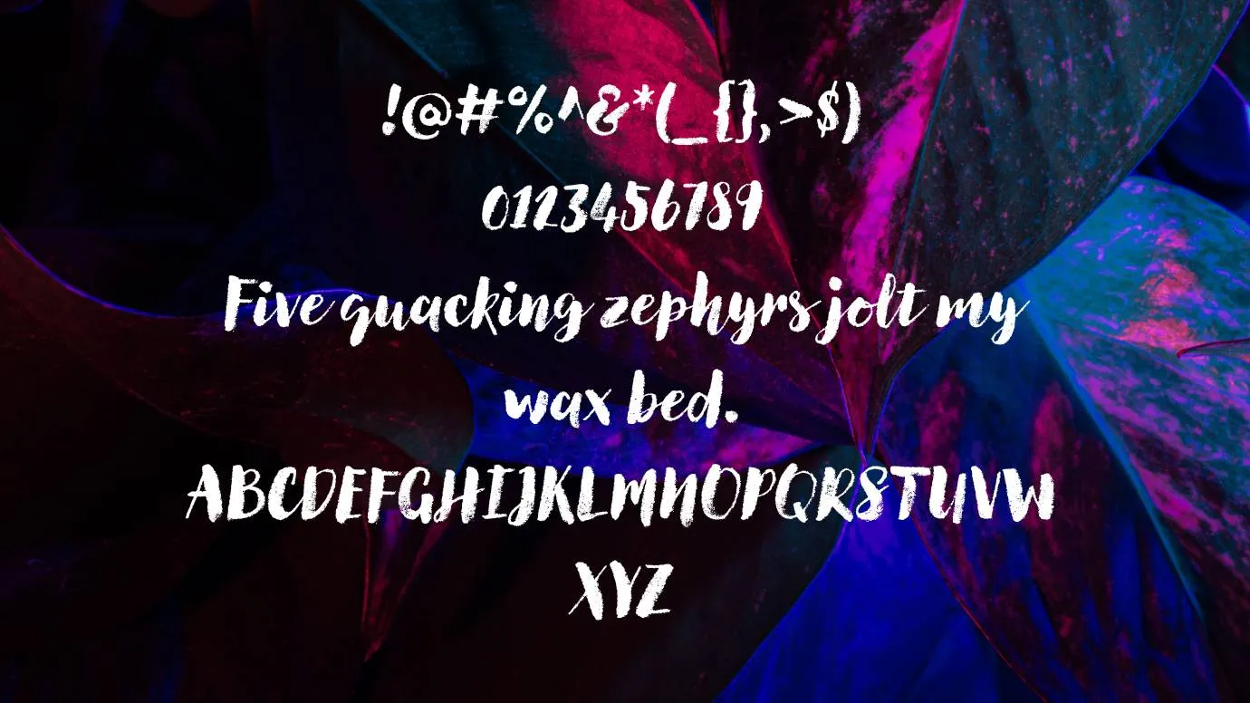 Canvas Script Heavy Font Free Download