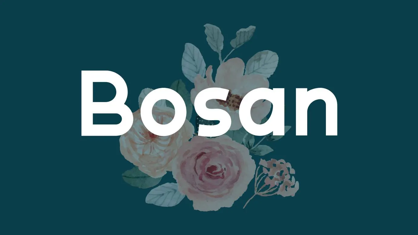 Bosan Font Free Download